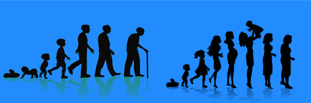 1.3 Periods of Development - myText CNM